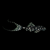 Adonis Pleco (Acanthicus Adonis): The Ultimate Guide for Aquarists ...